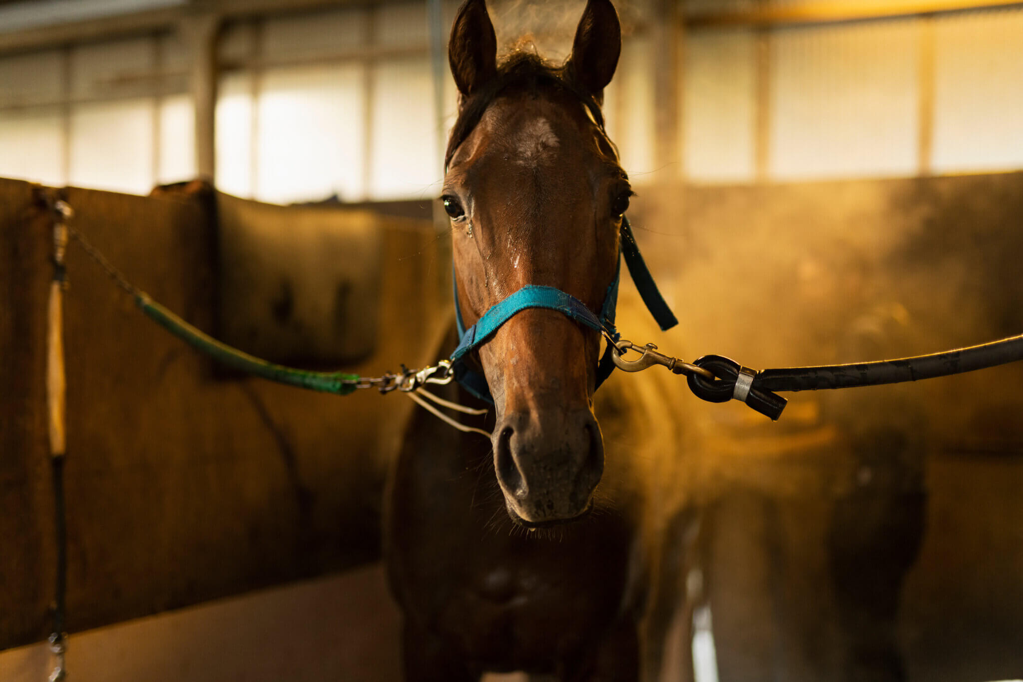 Safe Industries Australia - The Experts of Safety